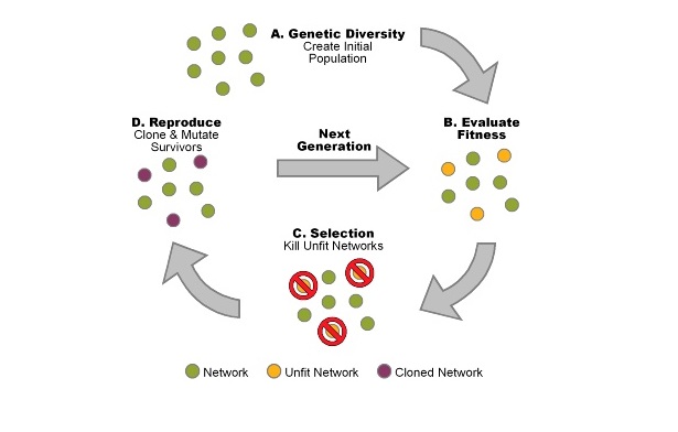 BioComputation: Genetic Algorithms